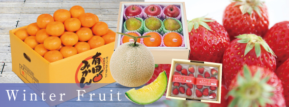 NISHIMOTO WORLD GIFT TO JAPAN