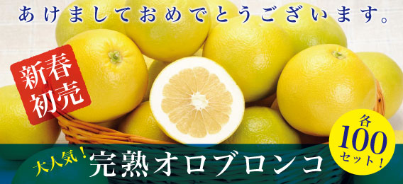 NISHIMOTO WORLD GIFT TO JAPAN
