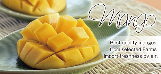 日本向けギフトなら西本貿易 | Nishimoto World Gift To Japan