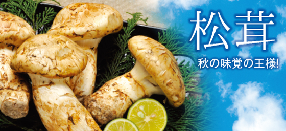 日本向けギフトなら西本貿易 | NISHIMOTO WORLD GIFT TO JAPAN